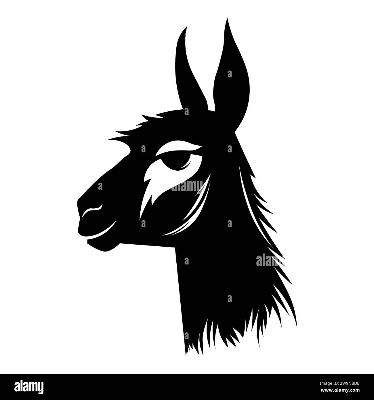 Black llama Black and White Stock Photos & Images - Alamy