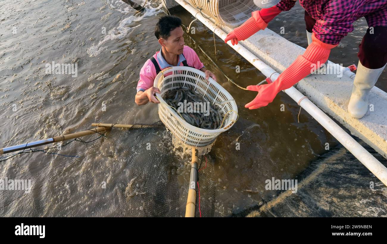 Hepu, China's Guangxi Zhuang Autonomous Region. 27th Dec, 2023. A ...