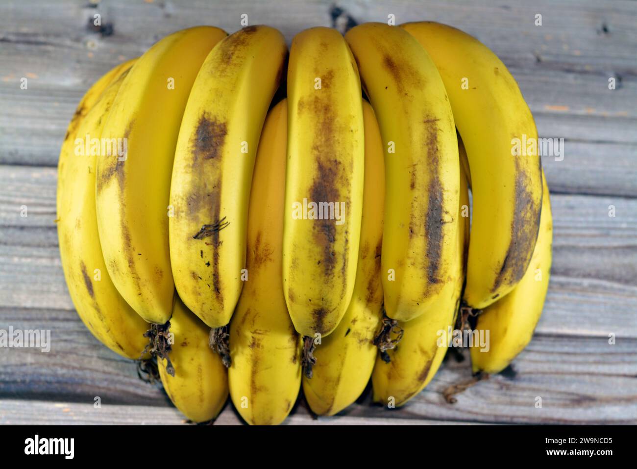 bananas, elongated, edible fruits botanically a berry, produced by ...