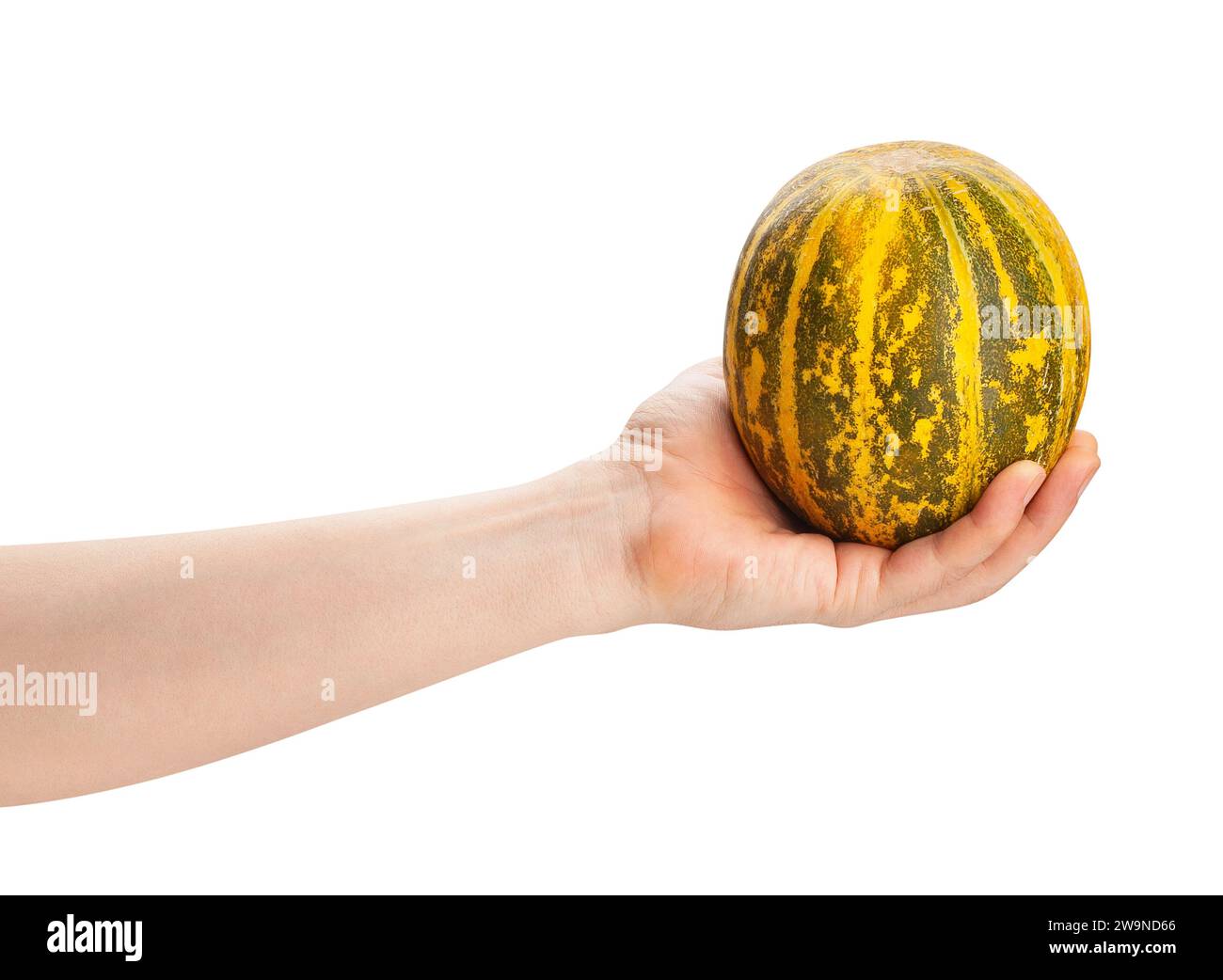 Hand holding melon hi-res stock photography and images - Alamy