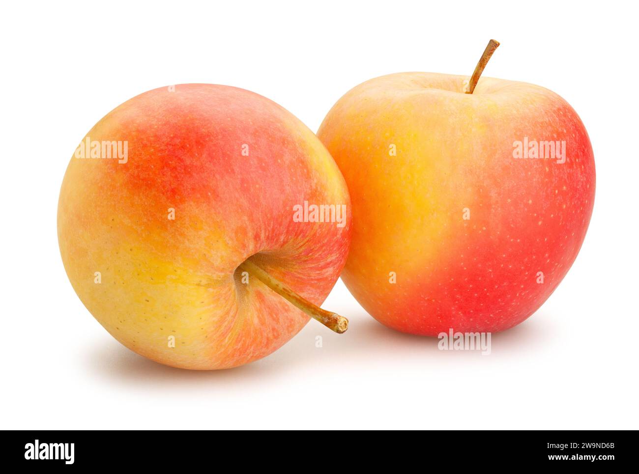 colorful apple path isolated on white Stock Photo - Alamy