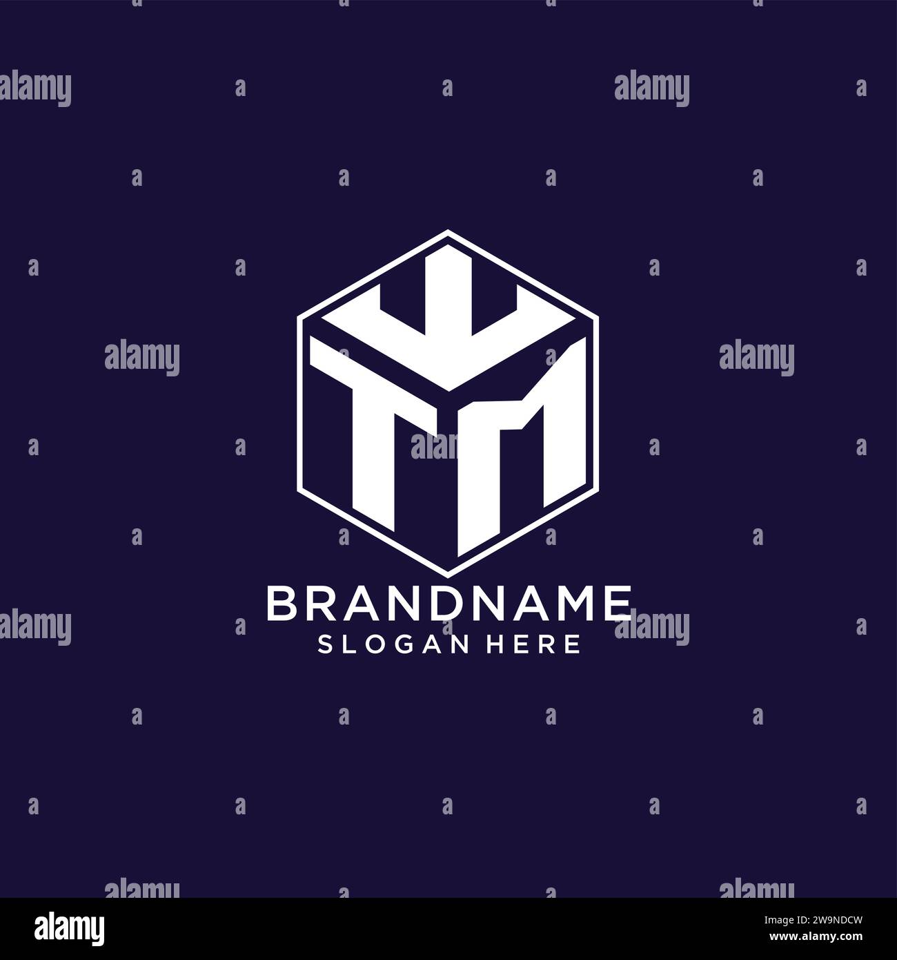 Initials TM logo hexagon shape, creative geometric logo design concept ...