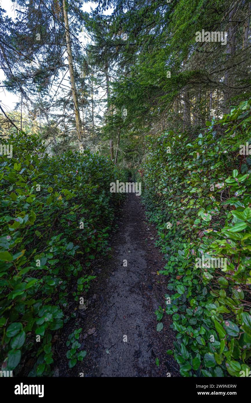 Ebey island hi-res stock photography and images - Alamy