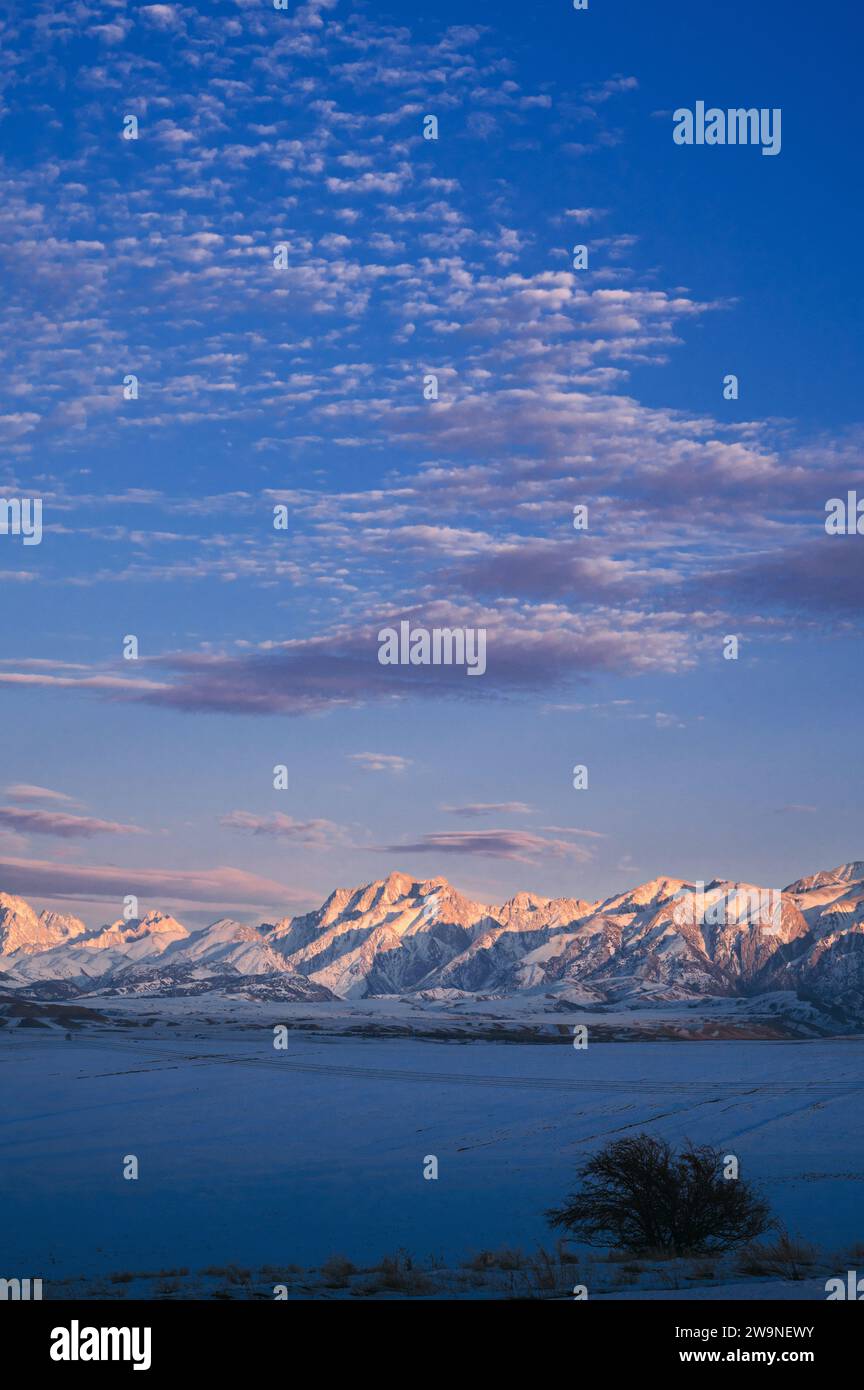 winter landscape with the Tien Shan mountains in Kazakhstan in the snow ...