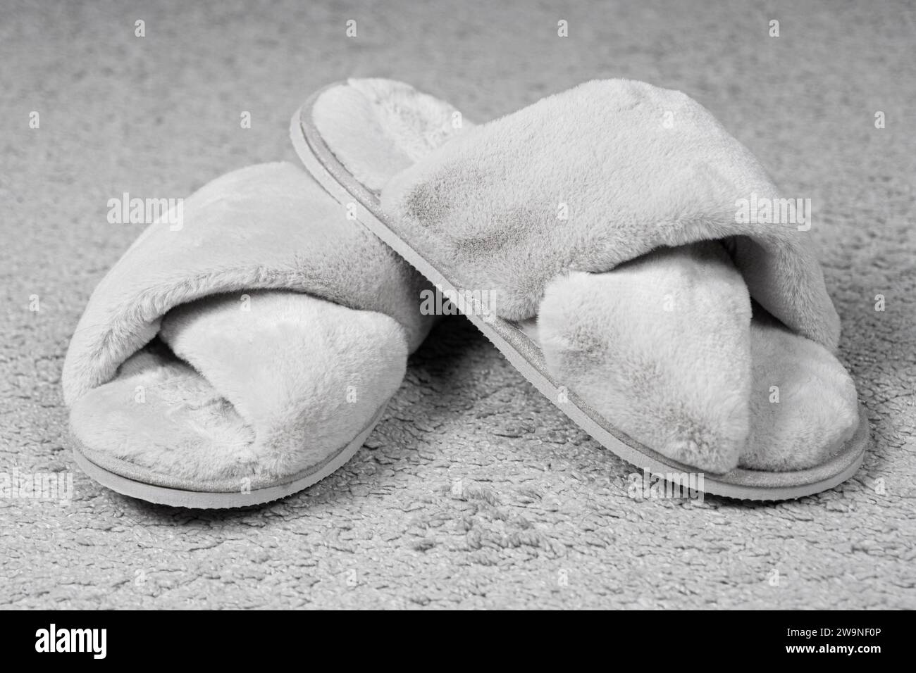 Modern Stylish Fluffy Grey House Slippers On Carpet Stock Photo - Alamy