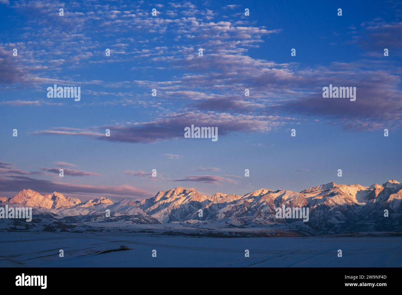 winter landscape with the Tien Shan mountains in Kazakhstan in the snow ...