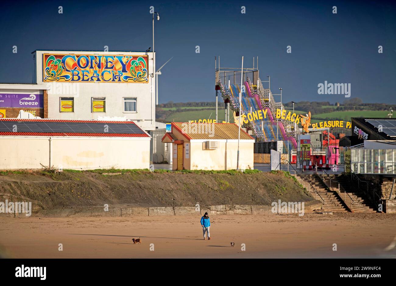 Porthcawl, UK. 29th Dec, 2023. A man walks his small dogs on Coney ...