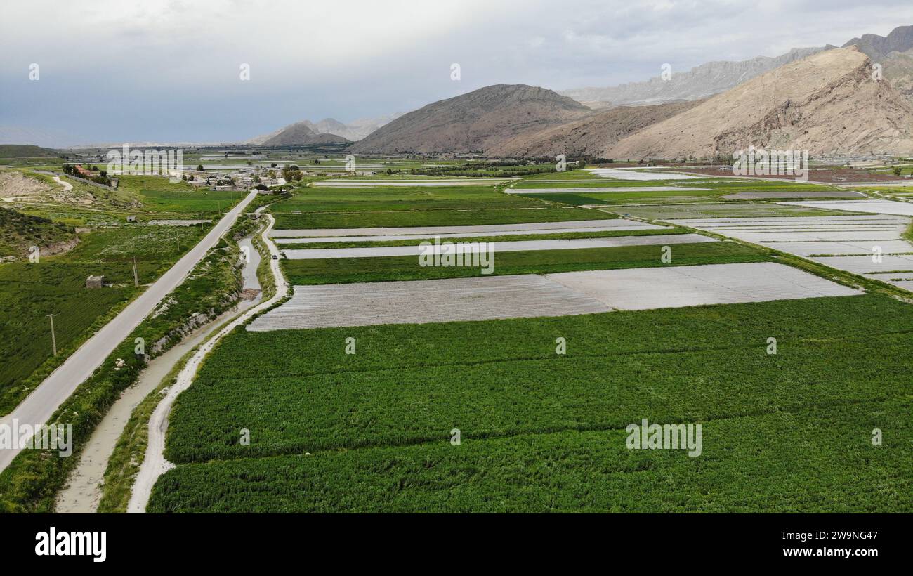 Aerial photos of rice fields and farmland near Shiraz, Iran – lush ...