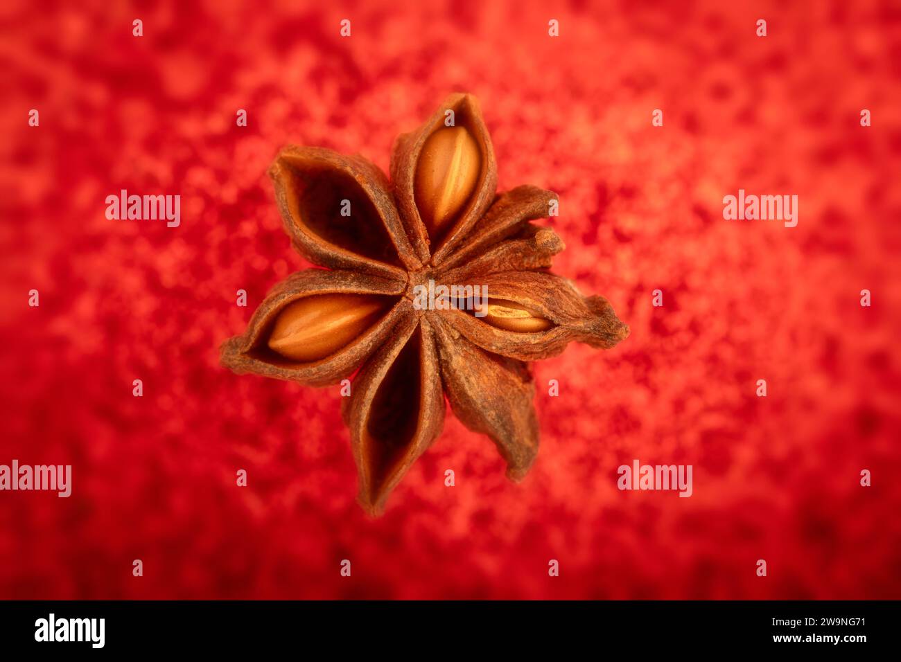 Revealing macro food ingredient close up of highly patternedIllicium ...