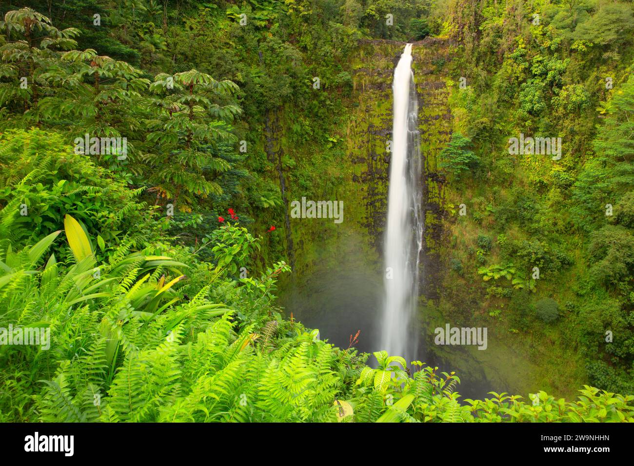 Akaka state falls park hi-res stock photography and images - Alamy