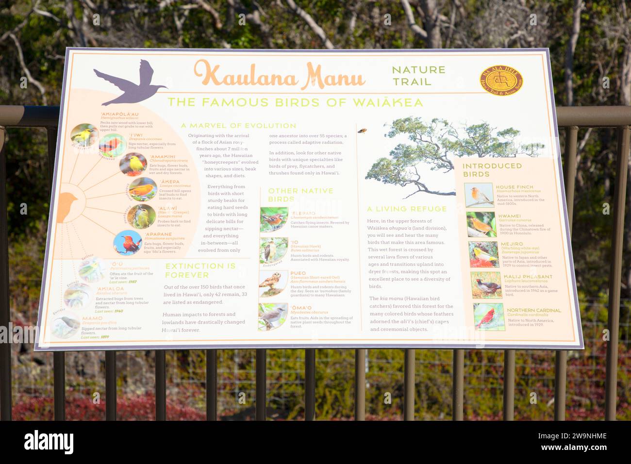 Kaulana Manu Nature Trail interpretive board, Upper Waiakea Forest ...