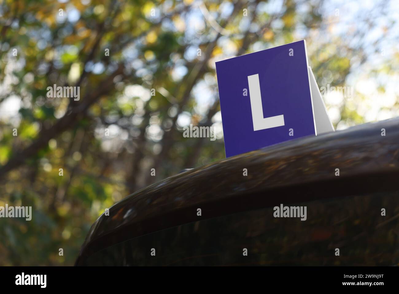 L-plate on car outdoors, low angle view with space for text. Driving ...