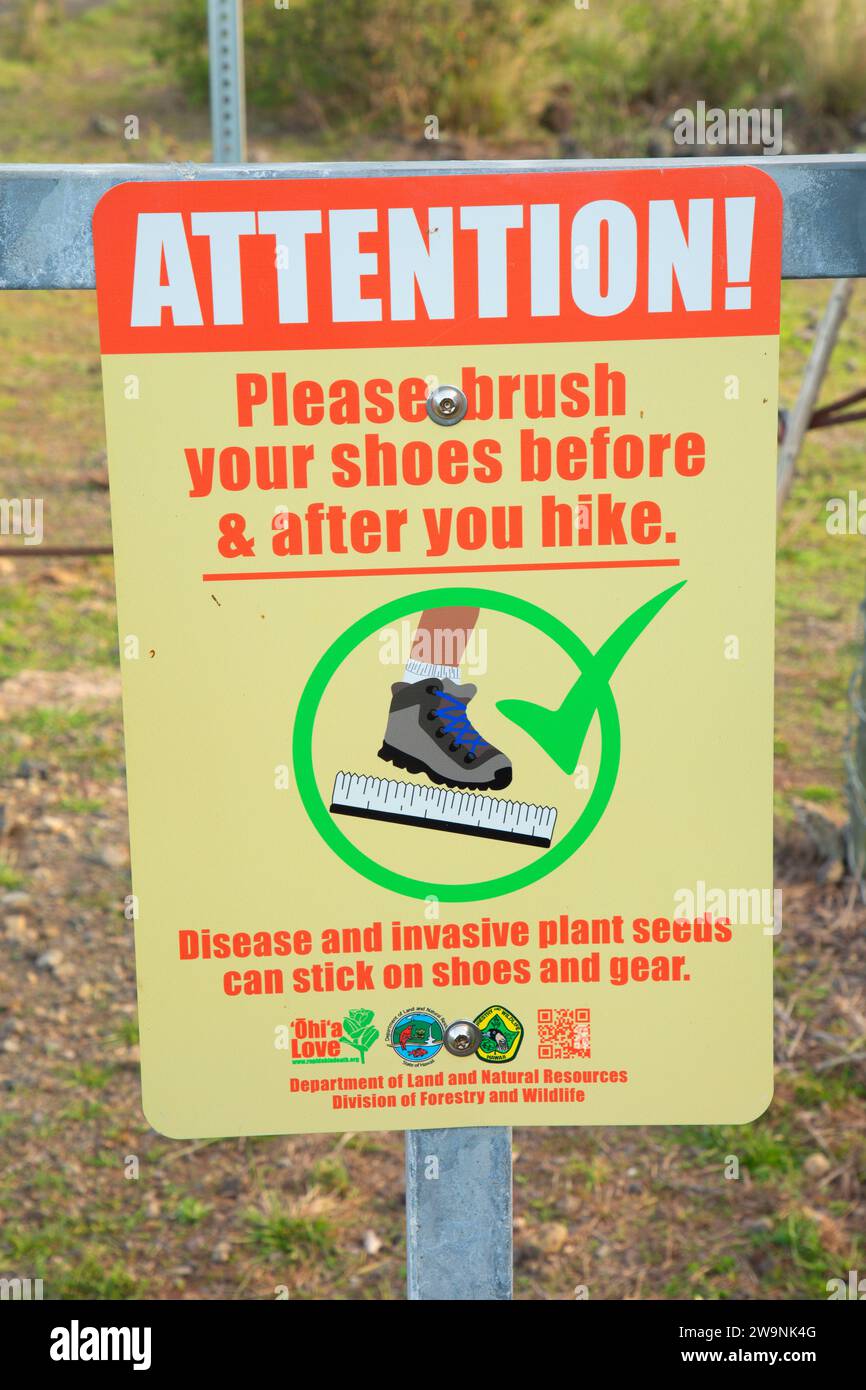 Cleaning station hi-res stock photography and images - Alamy