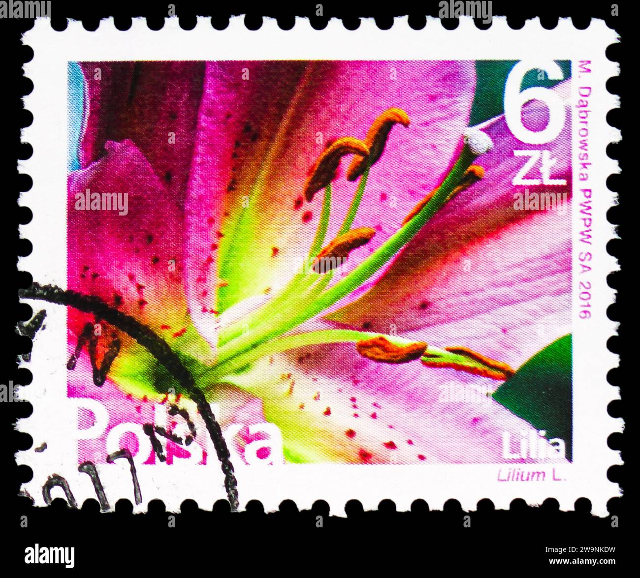 MOSCOW, RUSSIA - DECEMBER 17, 2023: Postage stamp printed in Poland ...