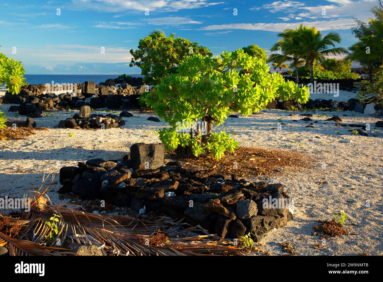 Cemetery, Hoona Historic Preserve, Hawaii Stock Photo - Alamy