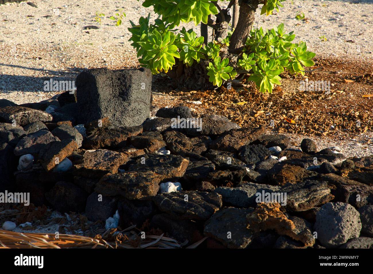 Hoona historic preserve hi-res stock photography and images - Alamy