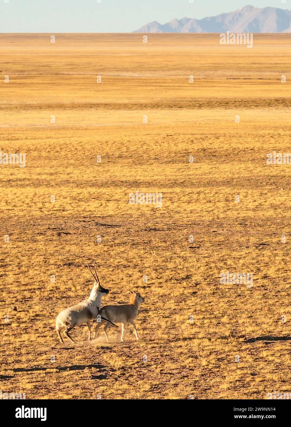 (231229) -- URUMQI, Dec. 29, 2023 (Xinhua) -- This aerial photo taken ...