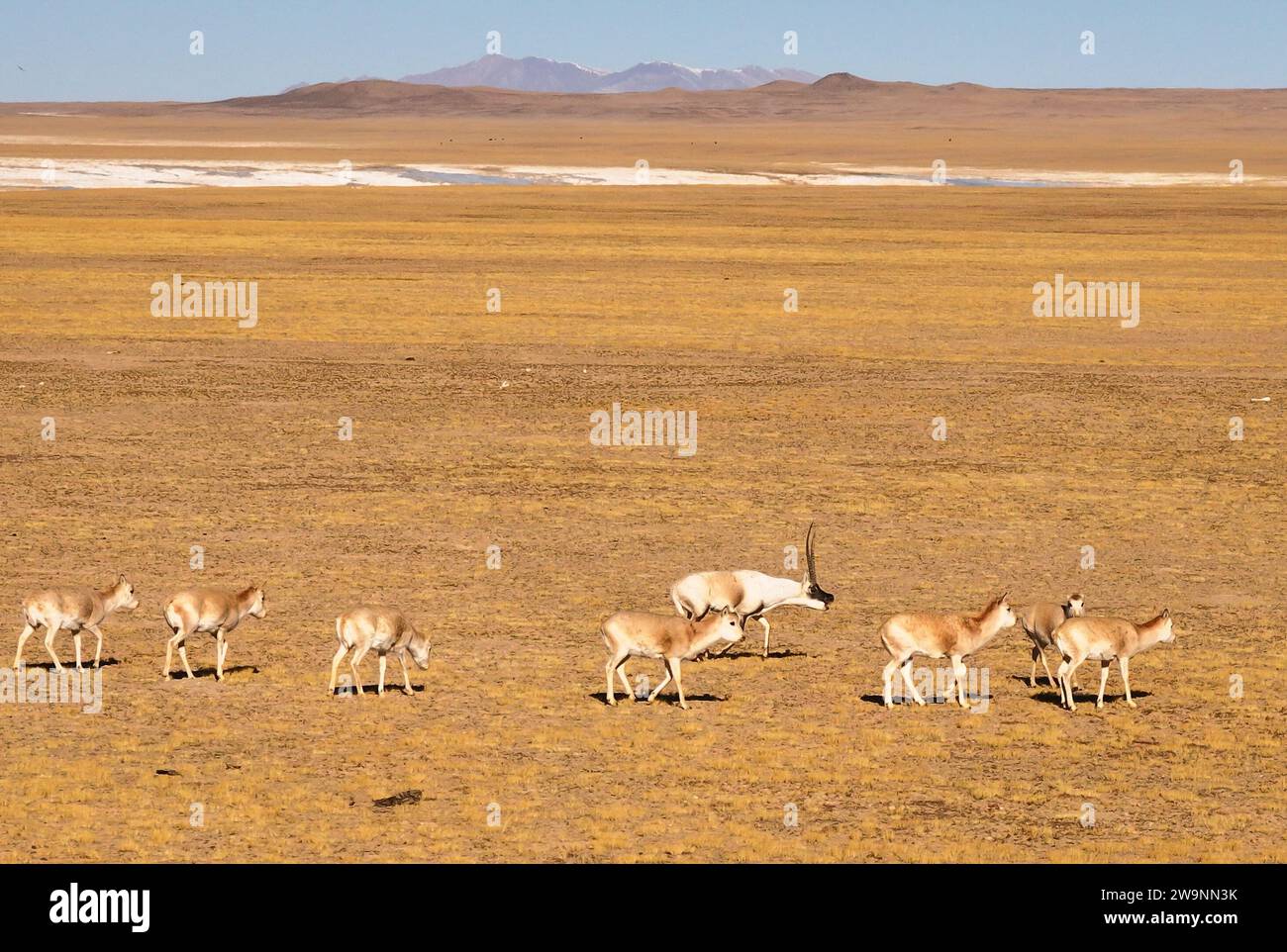 (231229) -- URUMQI, Dec. 29, 2023 (Xinhua) -- This aerial photo taken ...