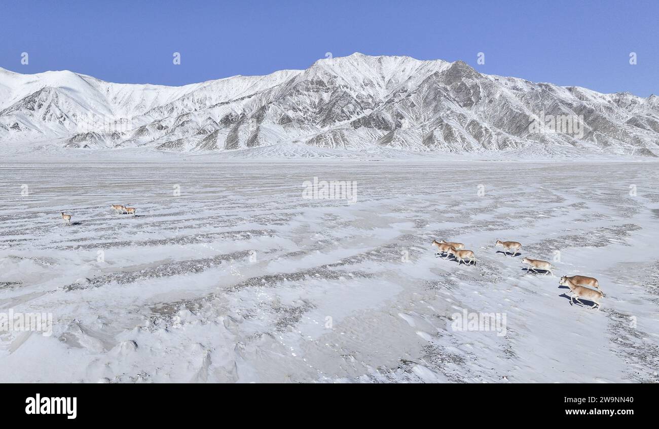 (231229) -- URUMQI, Dec. 29, 2023 (Xinhua) -- This aerial photo taken ...