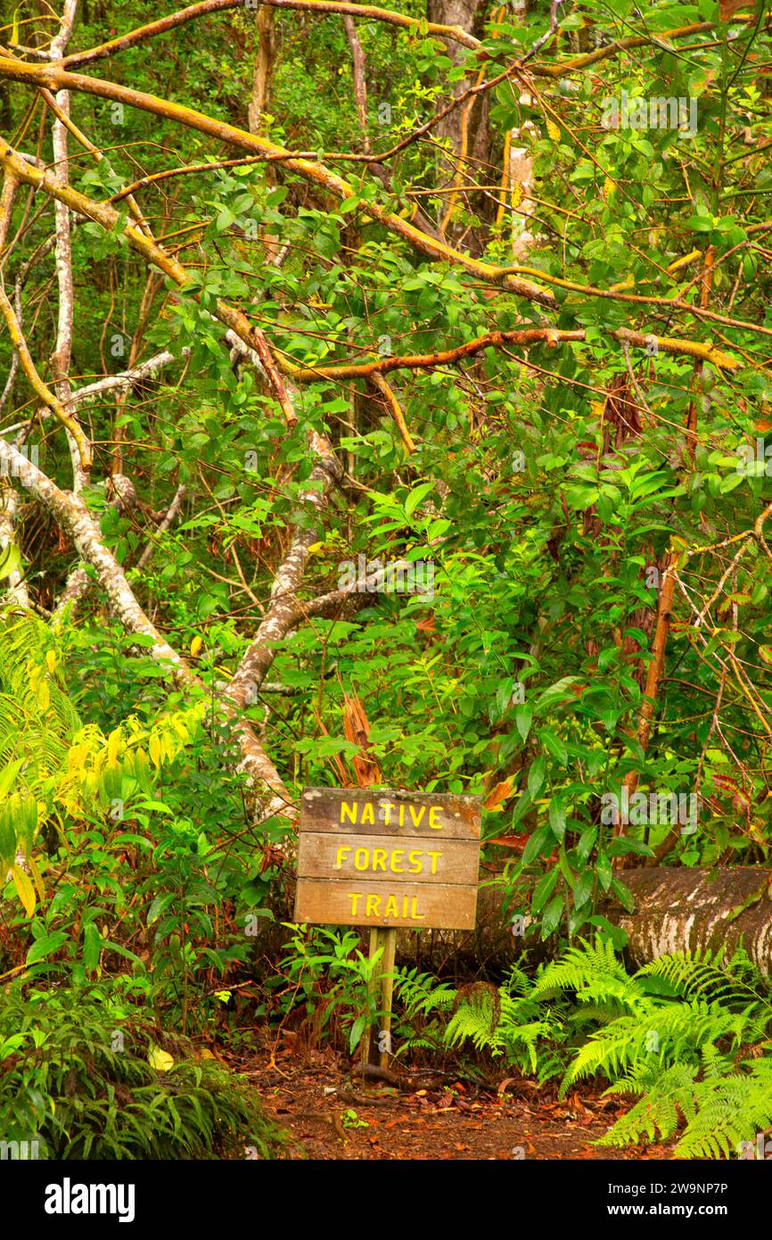 Native Forest Nature Trail sign, Kalopa Native Forest State Park ...