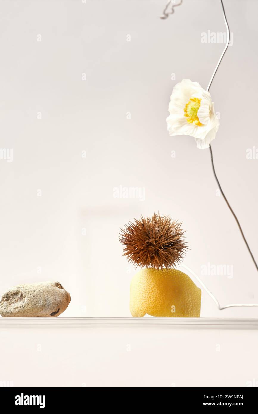 Product display backgrounds, product photography backdrop, product ...