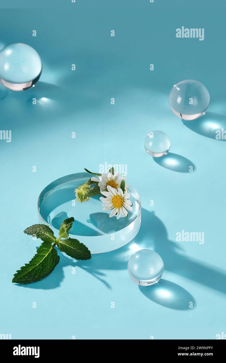 Product display backgrounds, product photography backdrop, product ...