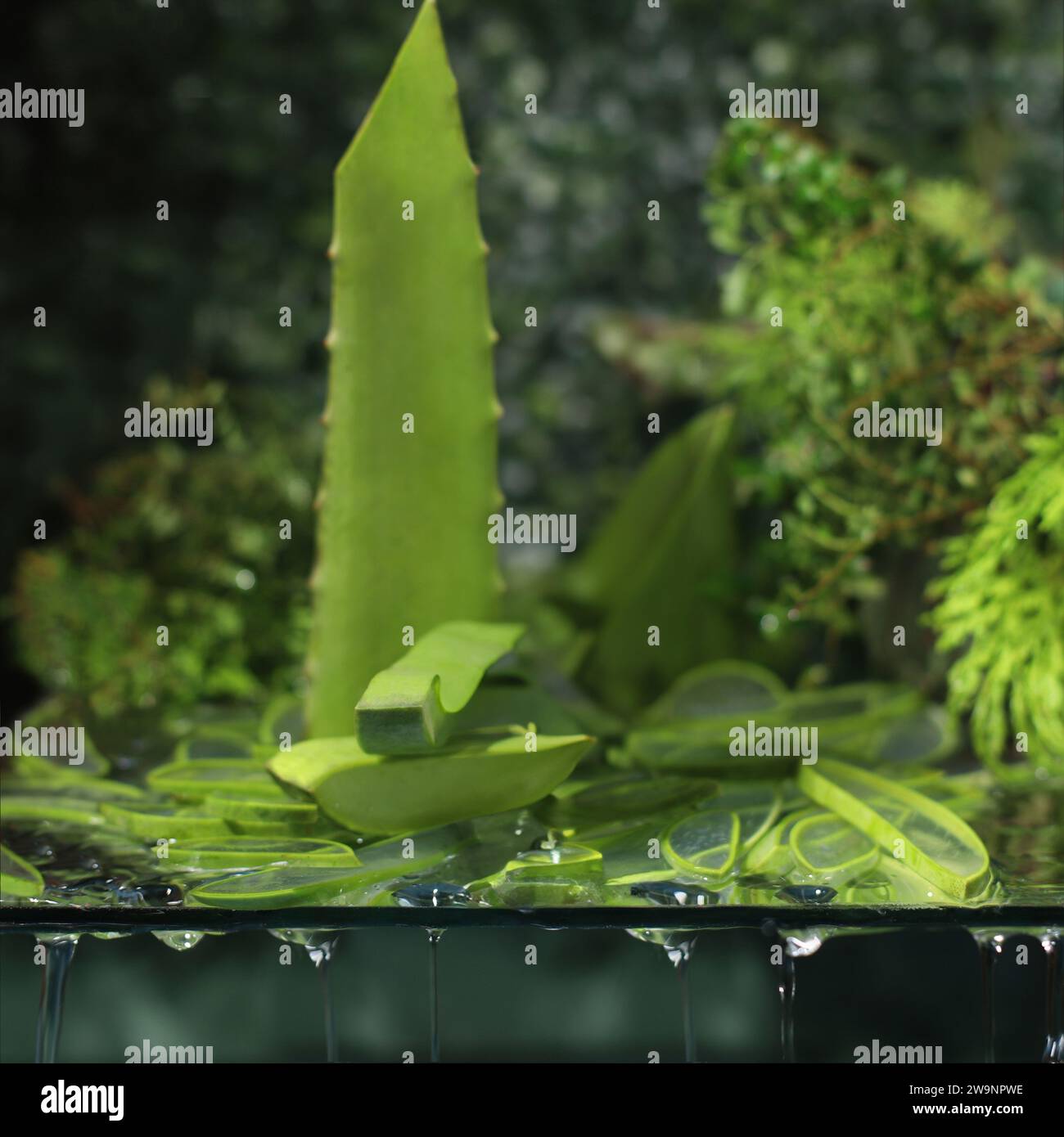 Product display backgrounds, product photography backdrop, product ...