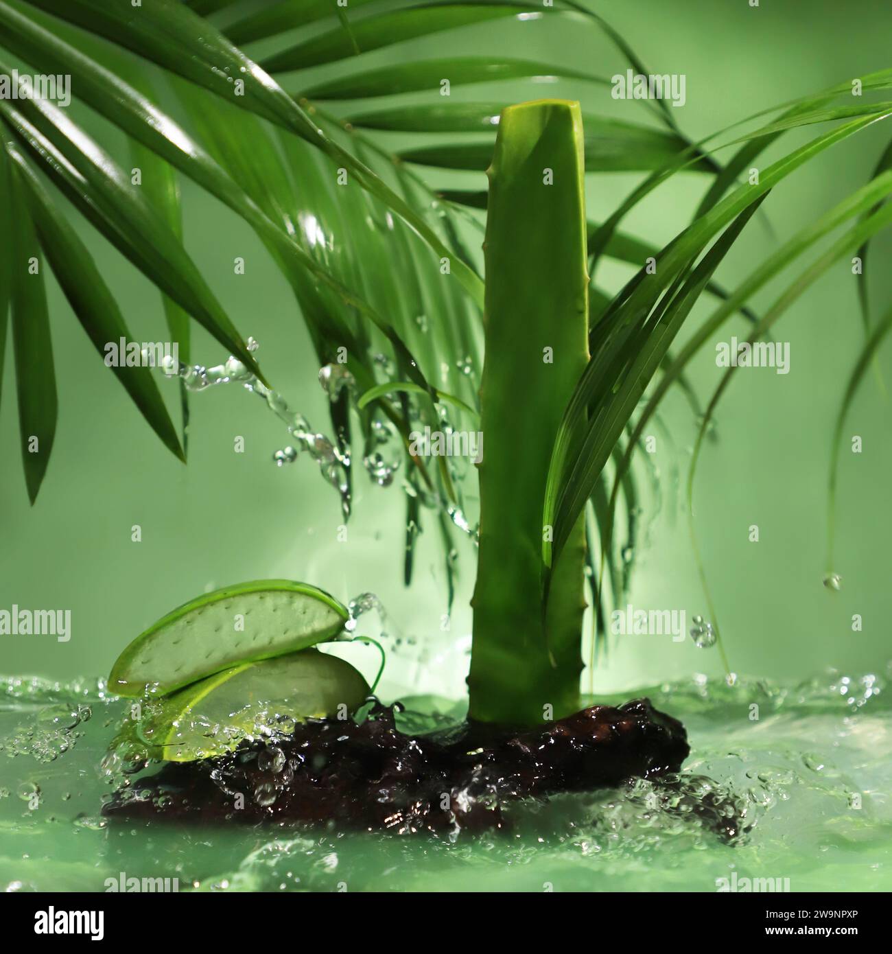 Product display backgrounds, product photography backdrop, product ...