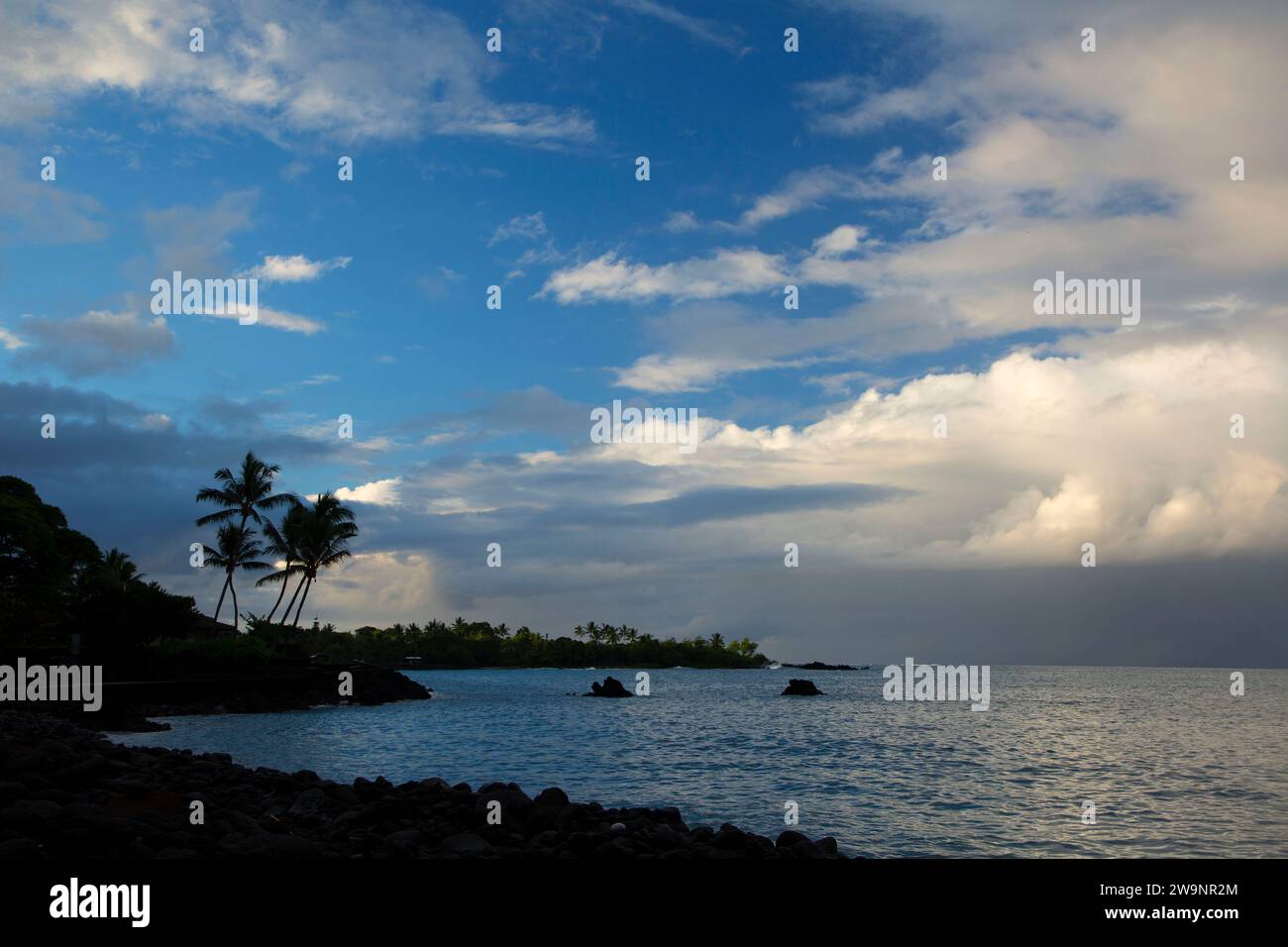 Palm tree silhouette on Kealakekua Bay, Kealakekua Bay State Historical ...