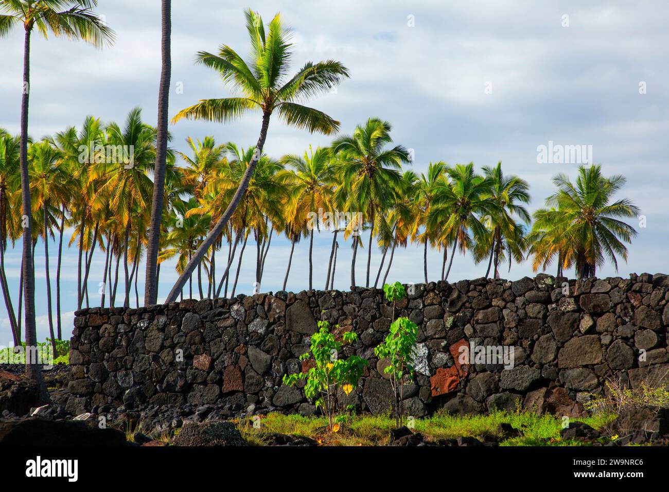Ala kahakai historic trail hi-res stock photography and images - Alamy