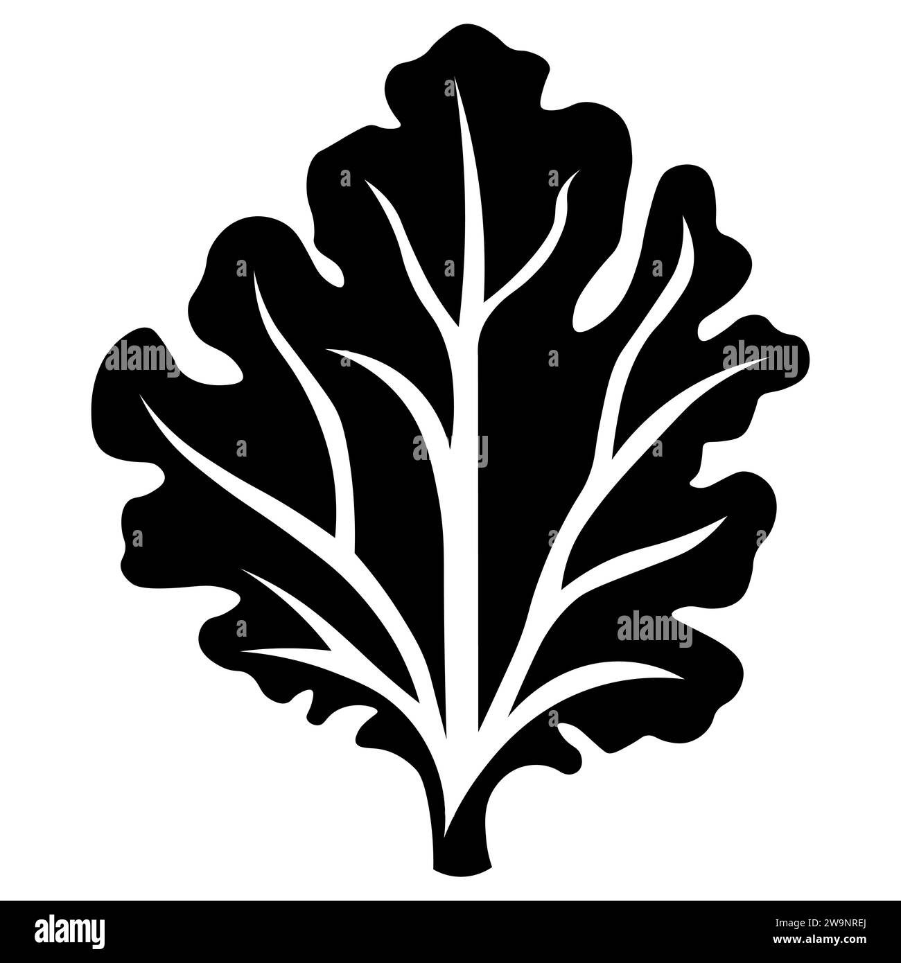 Kale black vector icon on white background Stock Vector Image & Art - Alamy