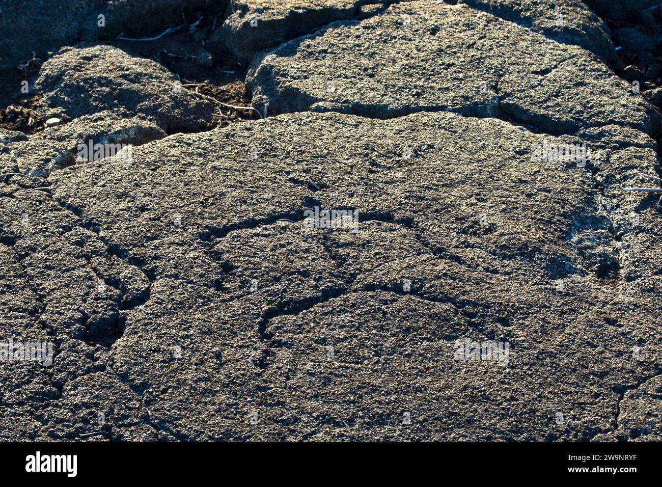 Native tradition hawaii hi-res stock photography and images - Alamy