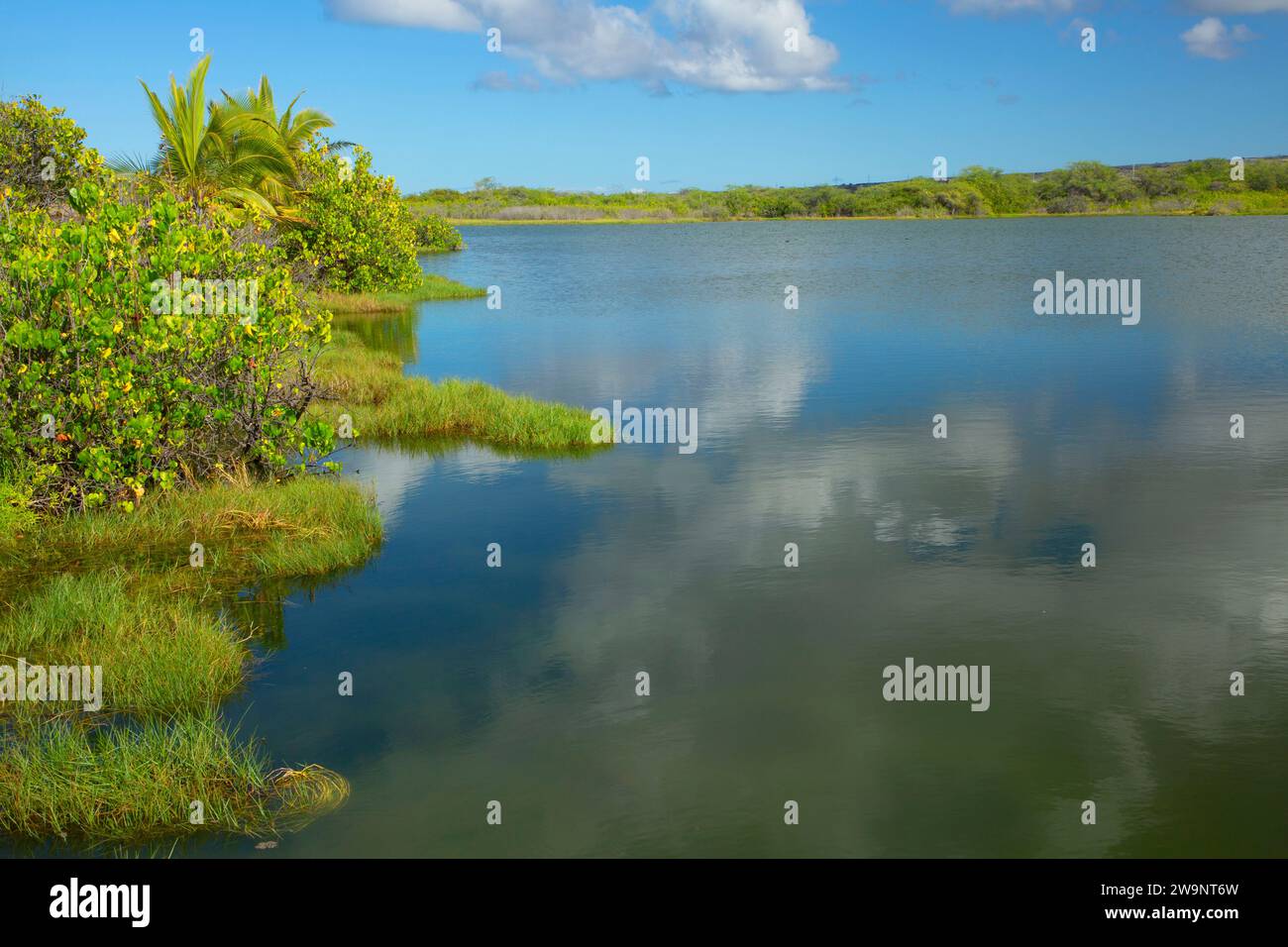 Aimakapa Fishpond, Ala Kahakai National Historic Trail, Kaloko ...