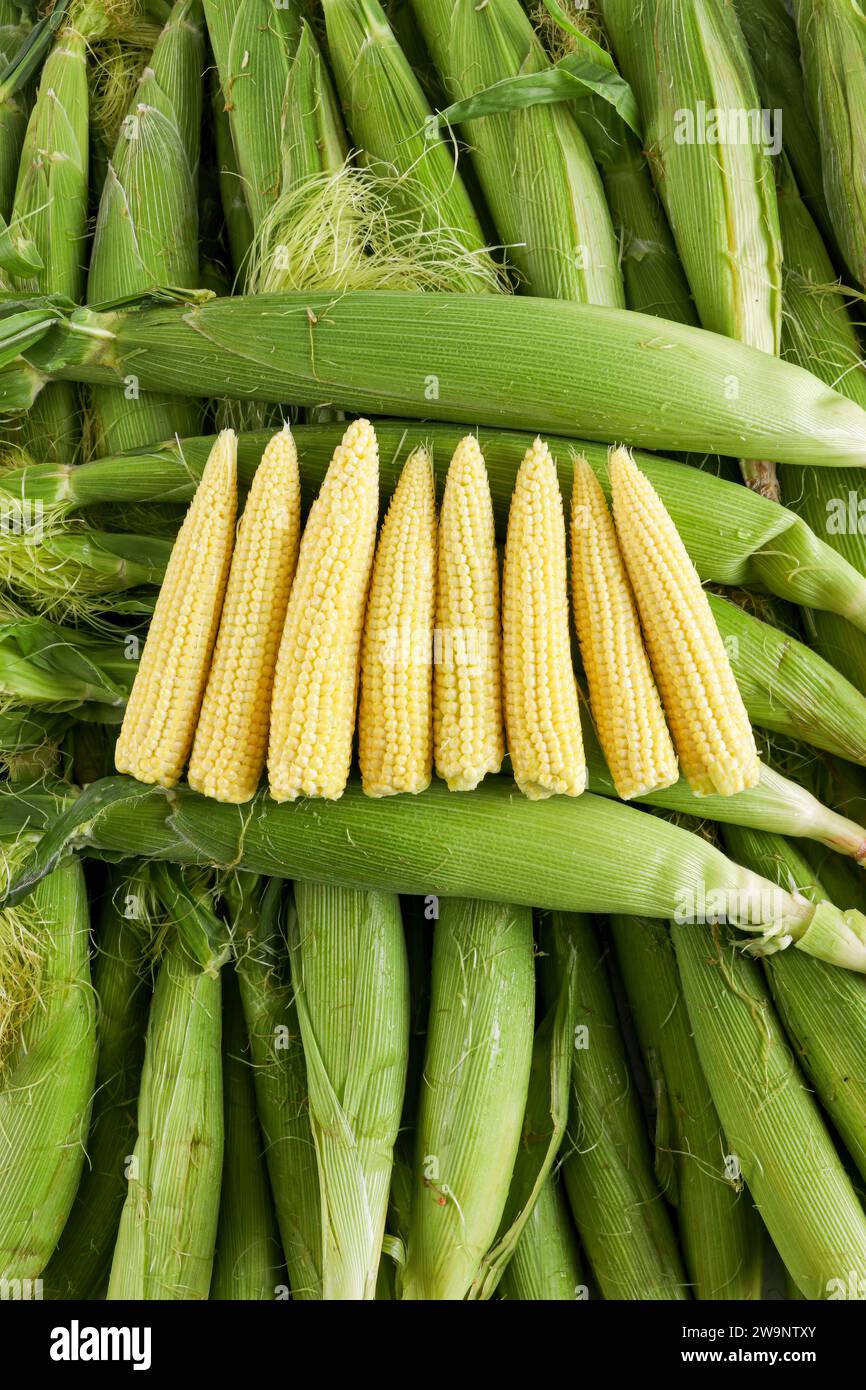 Images of baby corn, corn cobs, high quality images of corn Stock Photo ...