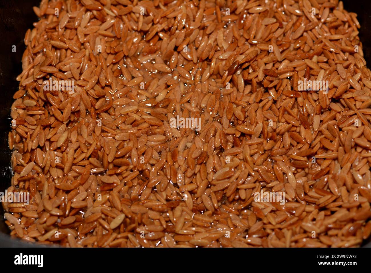 Middle Eastern Orzo Pasta Egyptian soup also known as Shorbet Lesan El ...