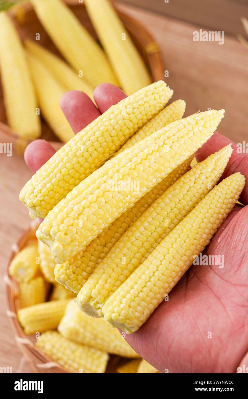 Images of baby corn, corn cobs, high quality images of corn Stock Photo ...