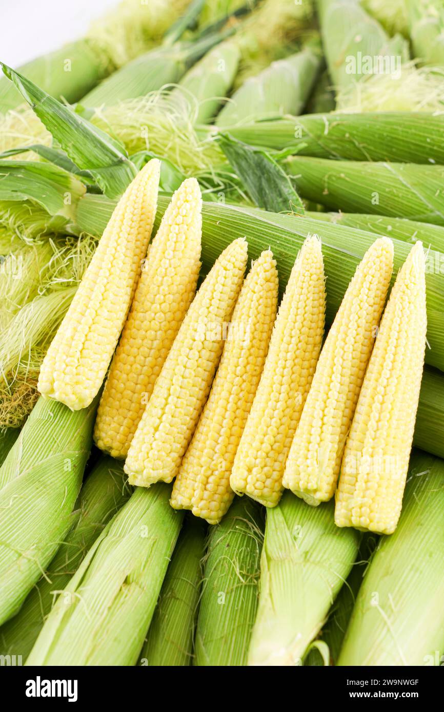 Images of baby corn, corn cobs, high quality images of corn Stock Photo ...