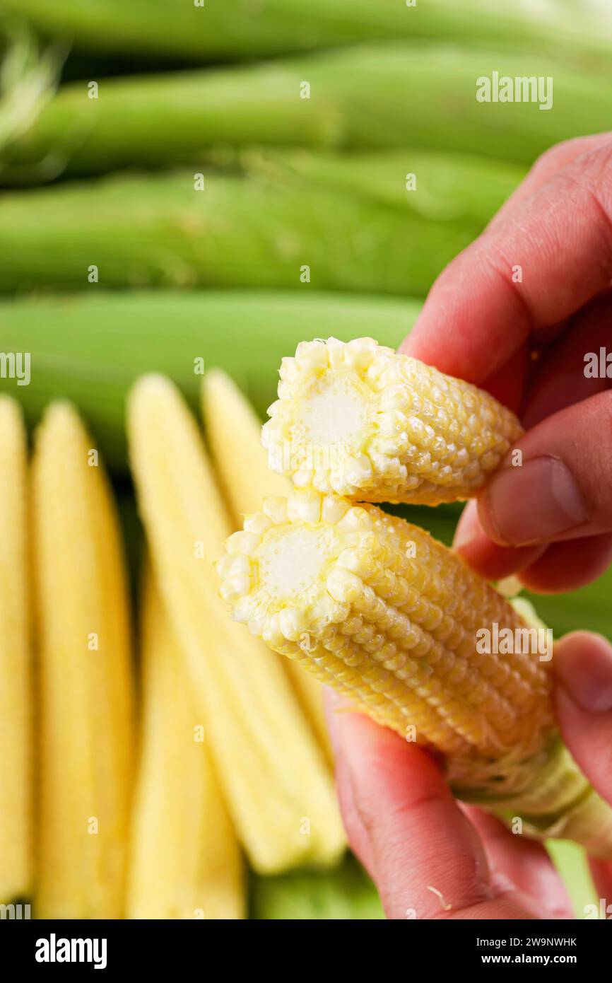 Images of baby corn, corn cobs, high quality images of corn Stock Photo ...