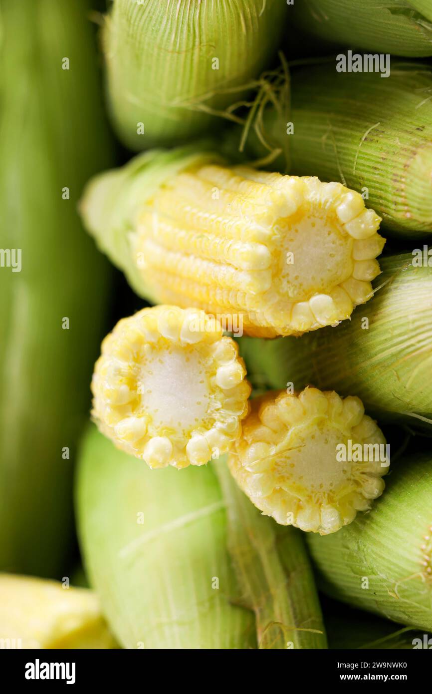 Images of baby corn, corn cobs, high quality images of corn Stock Photo ...