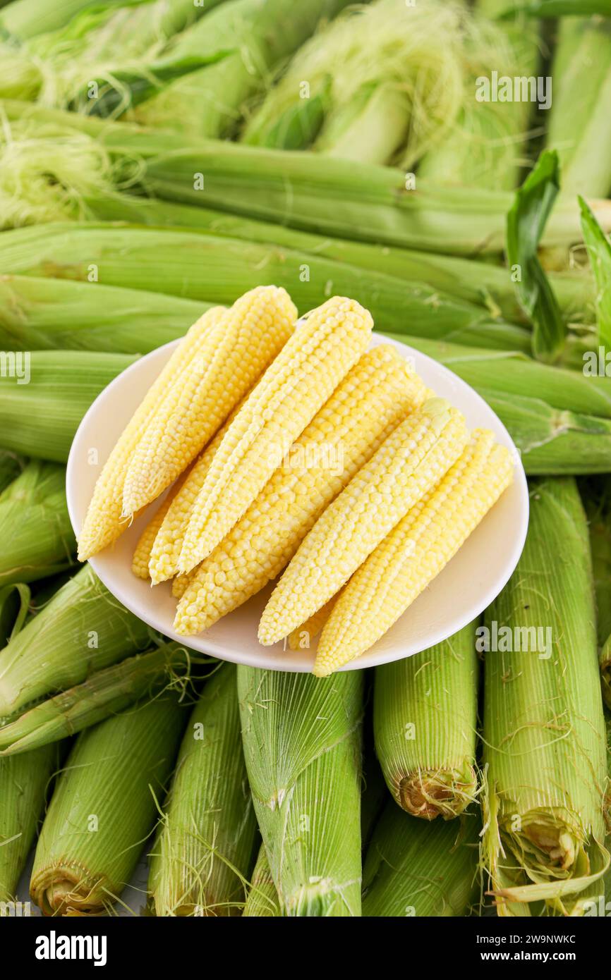 Images of baby corn, corn cobs, high quality images of corn Stock Photo ...