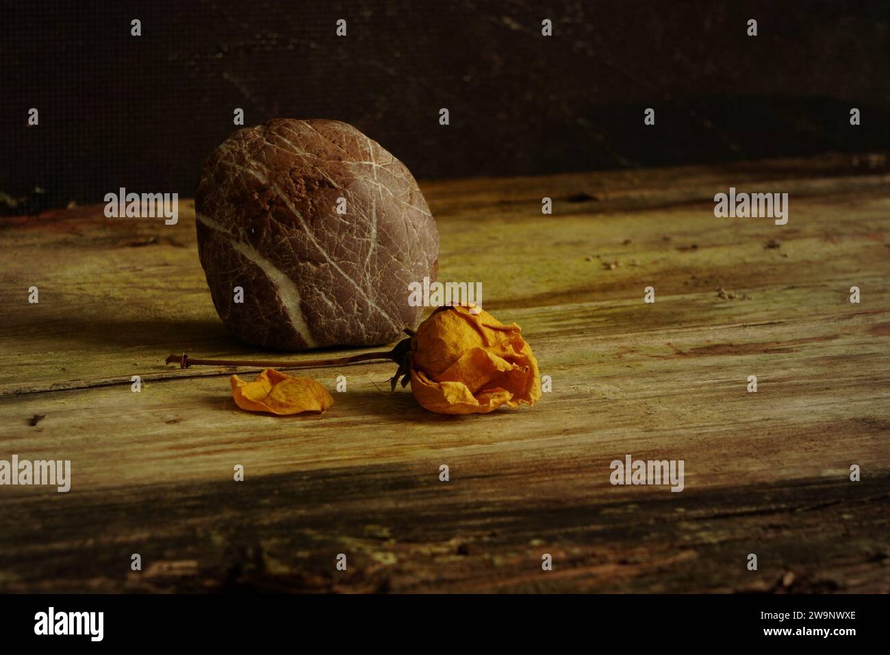 still life with avocado seeds, small roses and other gift of mother ...