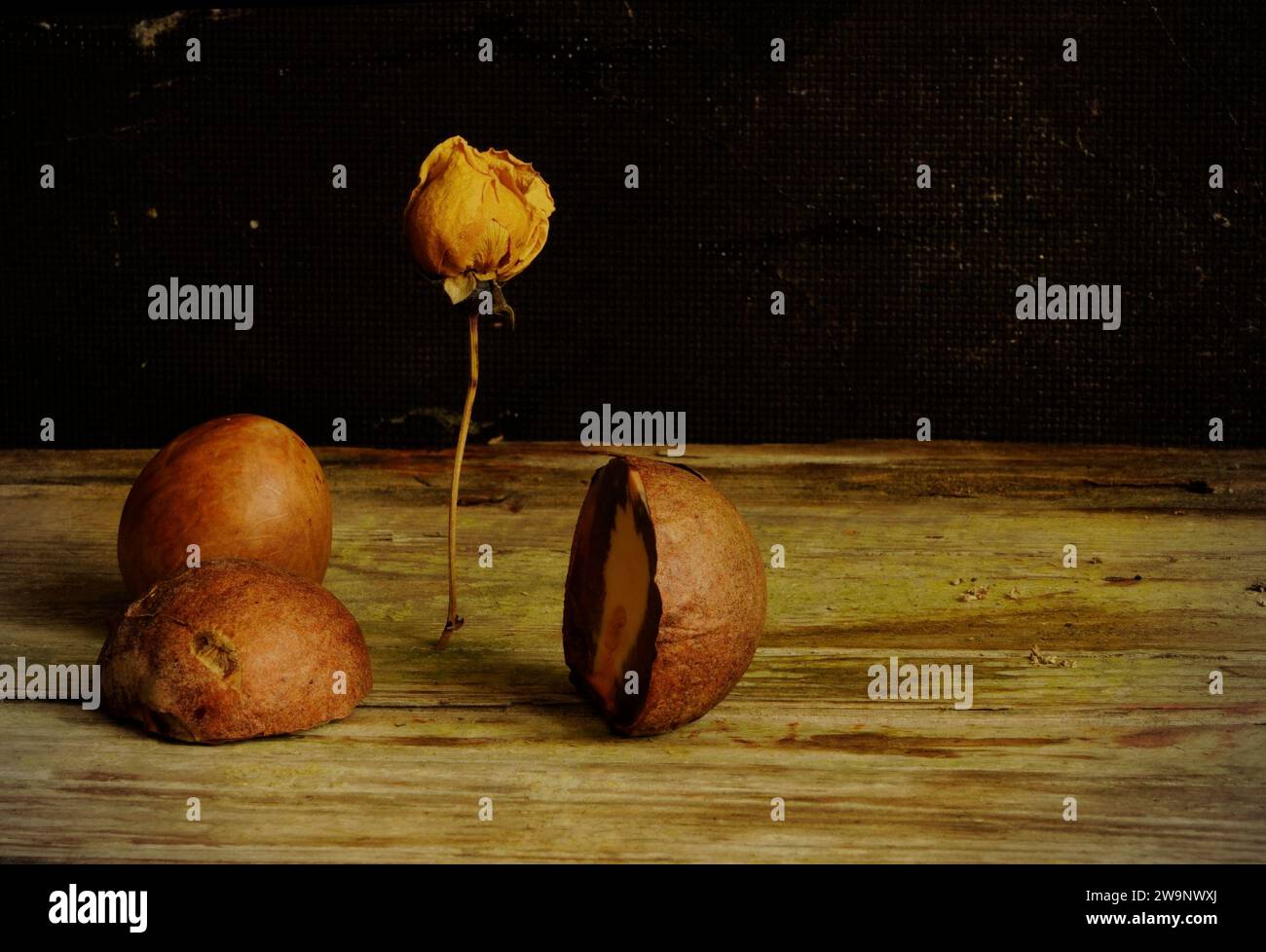 still life with avocado seeds, small roses and other gift of mother ...