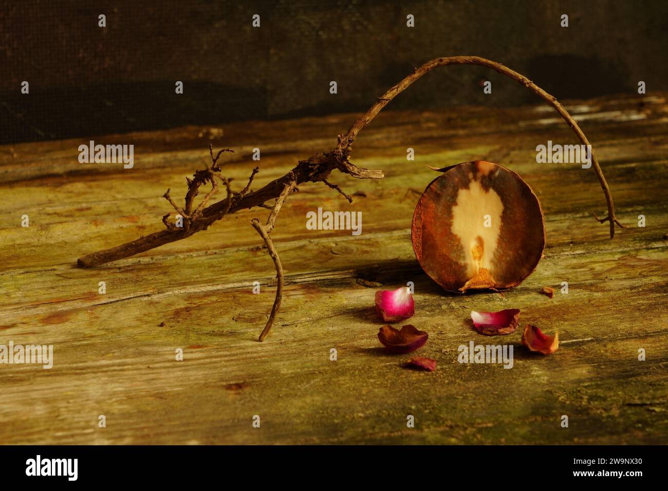 still life with avocado seeds, small roses and other gift of mother ...