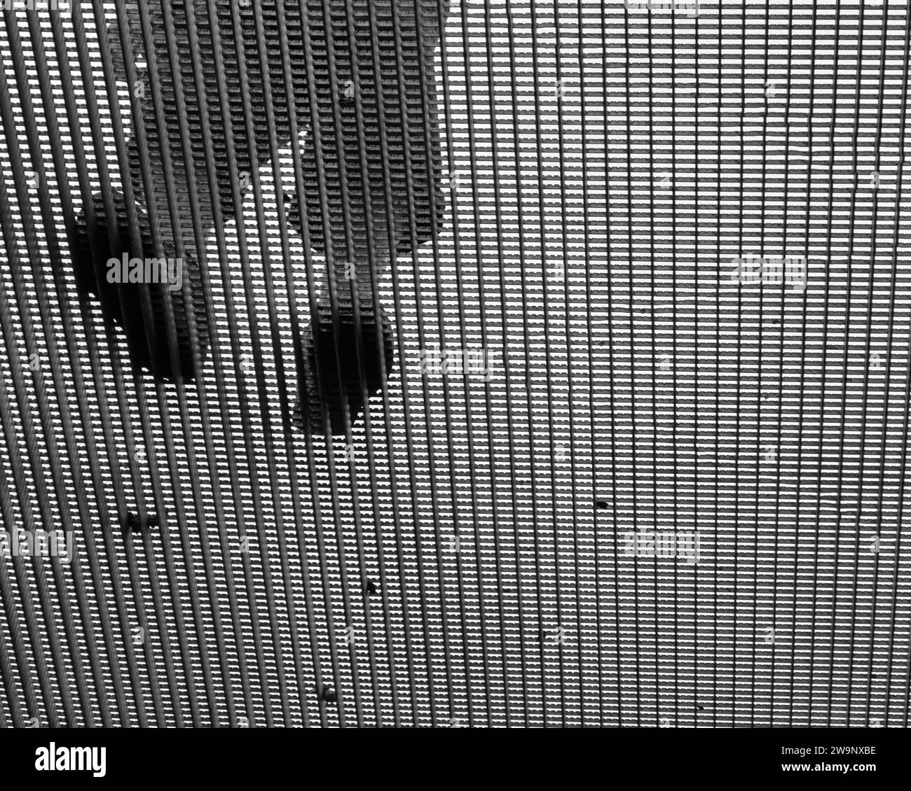 Abstract black & white close-up of a person walking on a semi ...