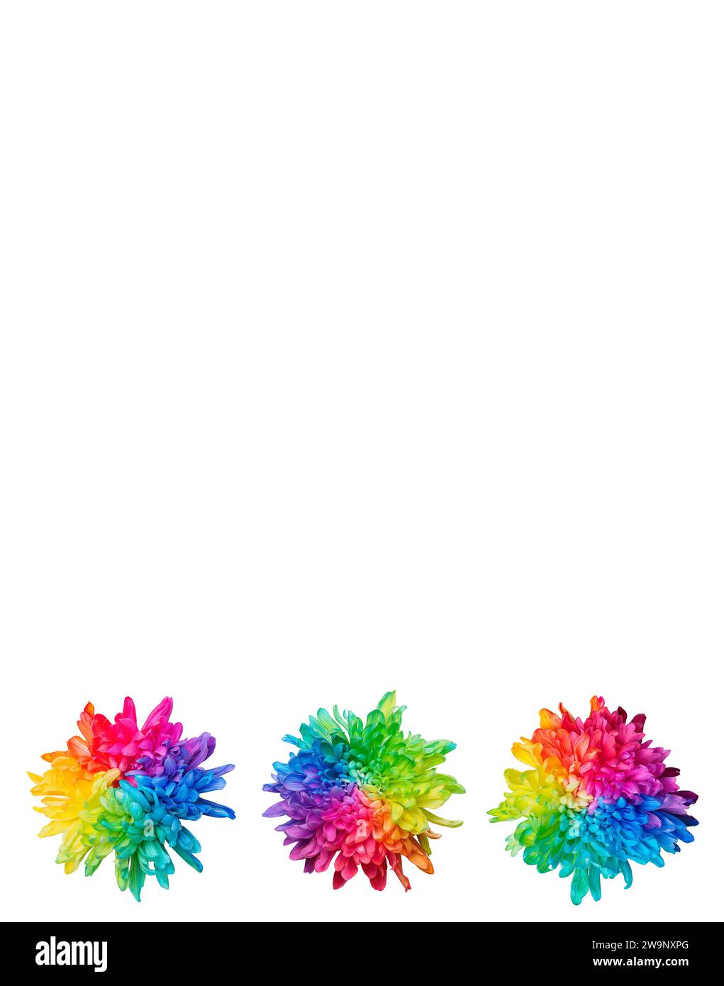 Three colored flowers Cut Out Stock Images & Pictures - Alamy