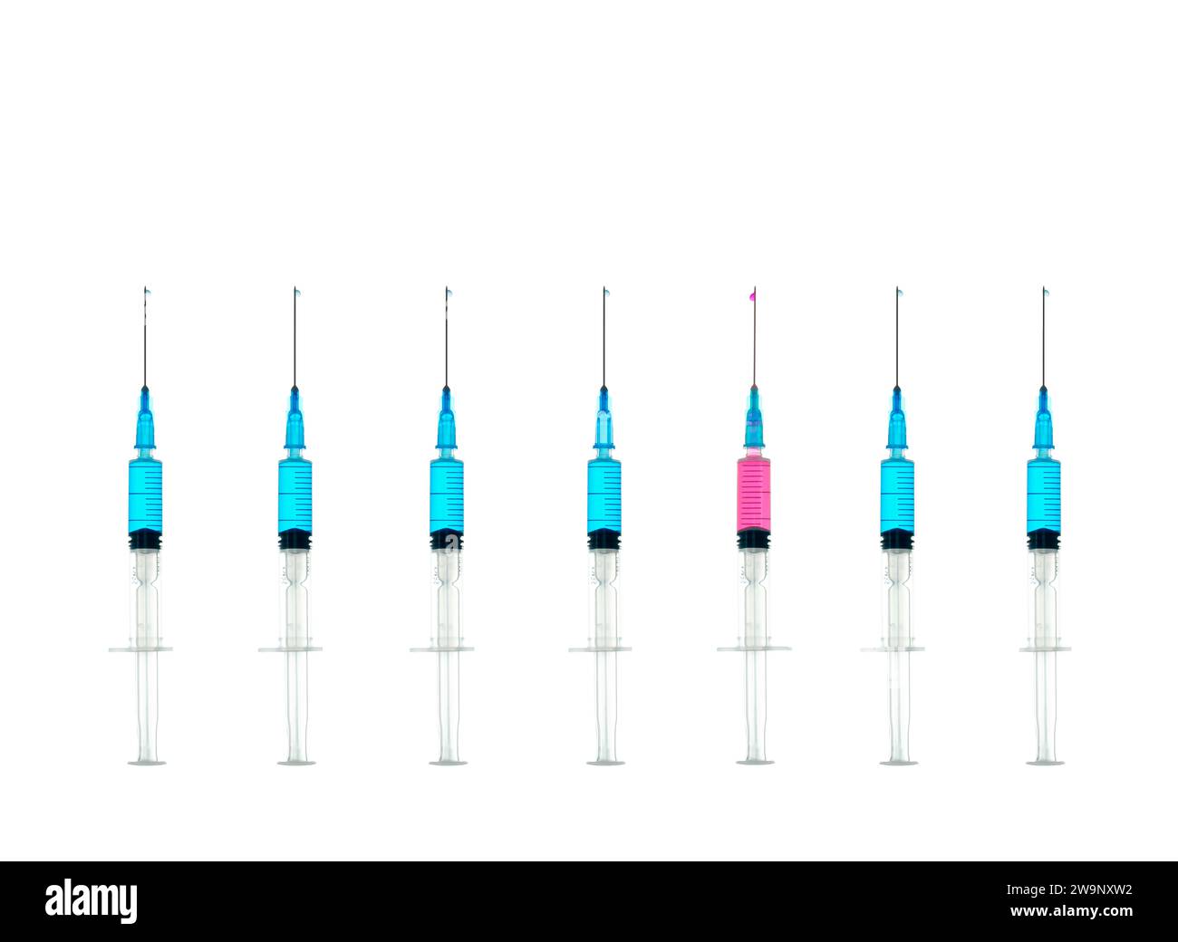 Row of syringes, all syringes with blue liquid, one syringe with pink ...