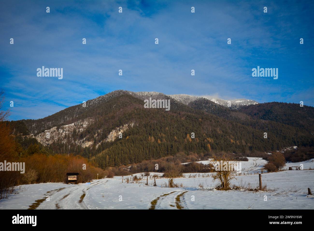 Winter in the Slovak Tatra Mountains full of snow Stock Photo - Alamy