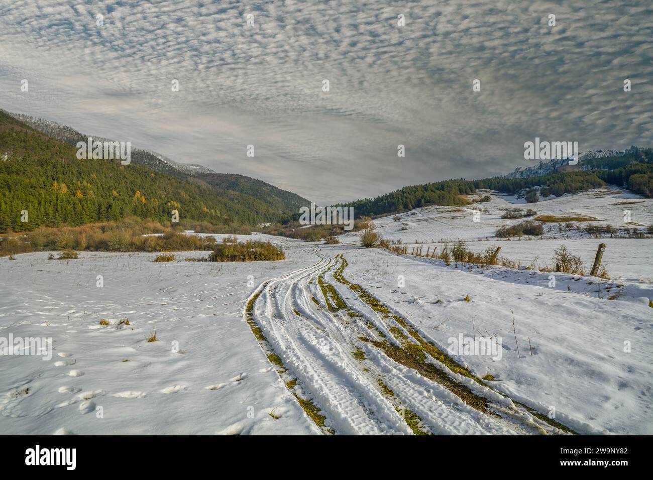 Winter in the Slovak Tatra Mountains full of snow Stock Photo - Alamy