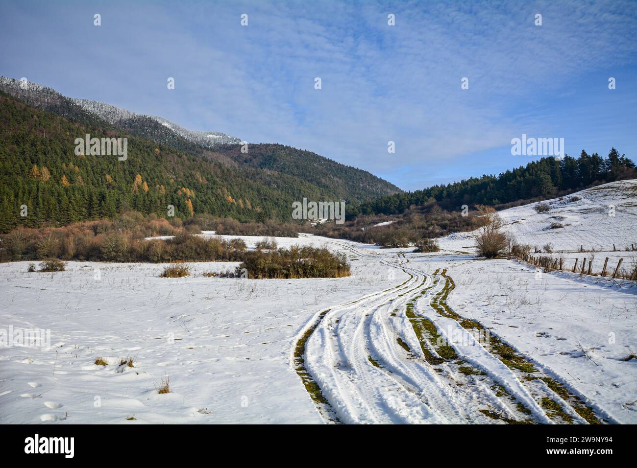 Winter in the Slovak Tatra Mountains full of snow Stock Photo - Alamy