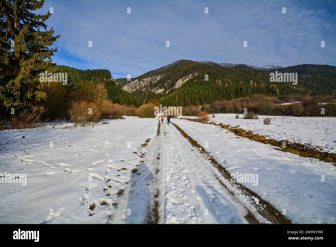Winter in the Slovak Tatra Mountains full of snow Stock Photo - Alamy